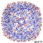 CryoSPARC教程 – Lai YZ