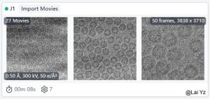 CryoSPARC教程 – Lai YZ