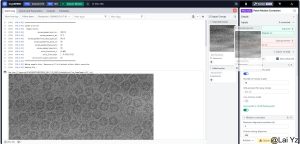 CryoSPARC教程 – Lai YZ