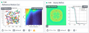 CryoSPARC教程 – Lai YZ