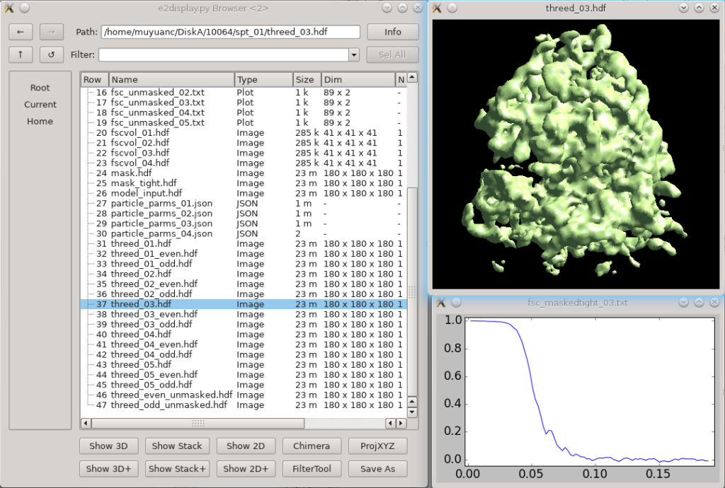 EMAN2 子断层平均 – Lai YZ