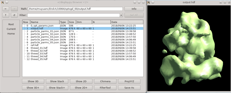 EMAN2 子断层平均 – Lai YZ