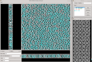 EMAN2 子断层平均 – Lai YZ