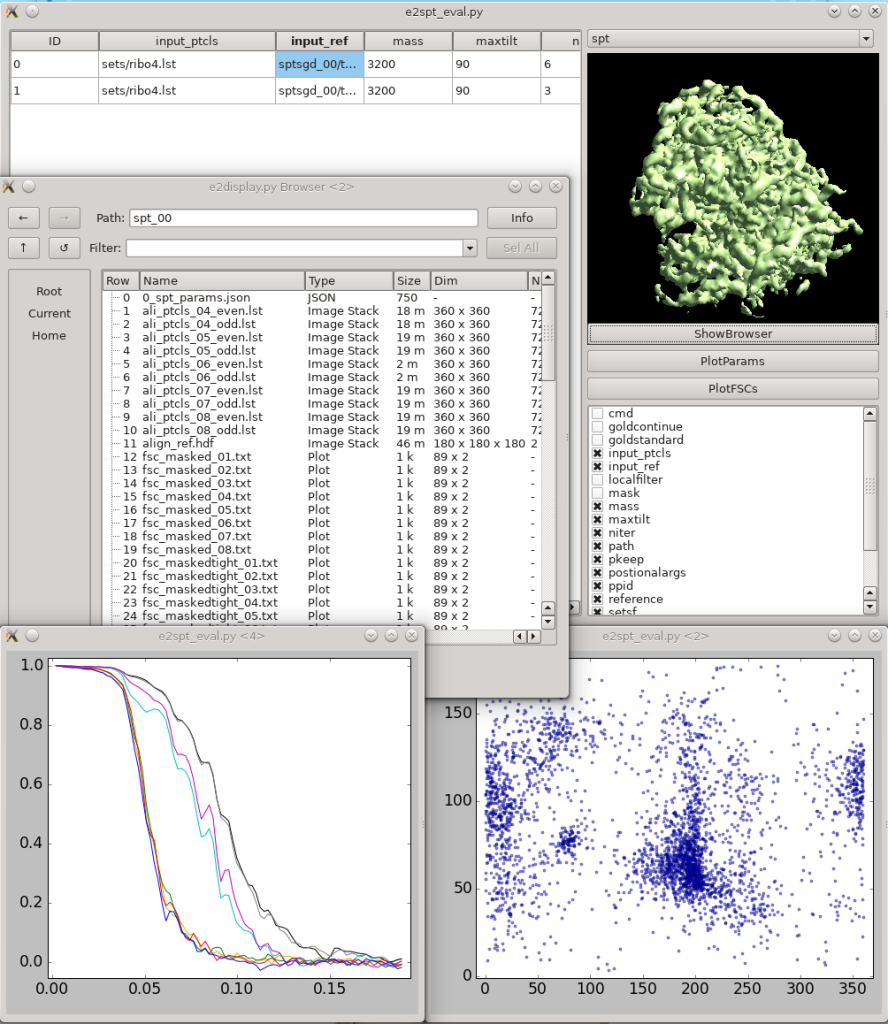 EMAN2 子断层平均 – Lai YZ