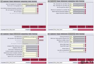 RELION教程 – Lai YZ