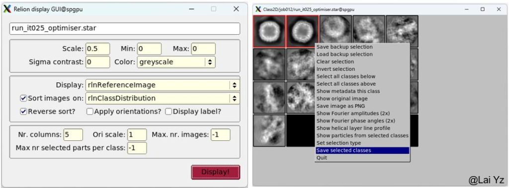 RELION教程 – Lai YZ
