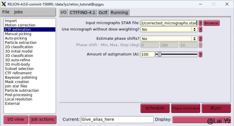 RELION教程 – Lai YZ
