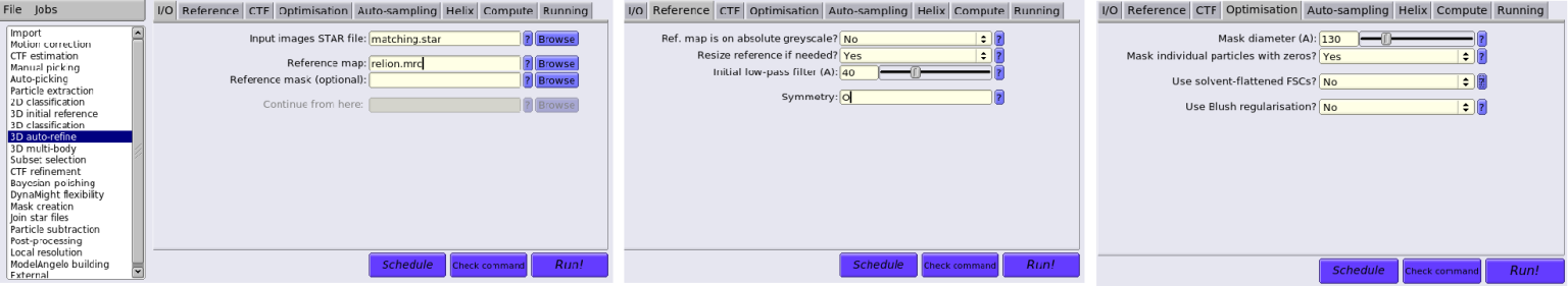Warp-RELION-M子断层平均 – Lai YZ