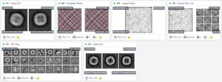 CryoSPARC教程 – Lai YZ